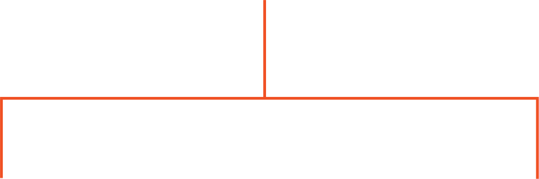 About Kinetic Physical Therapy | Where passion, dedication, and ...